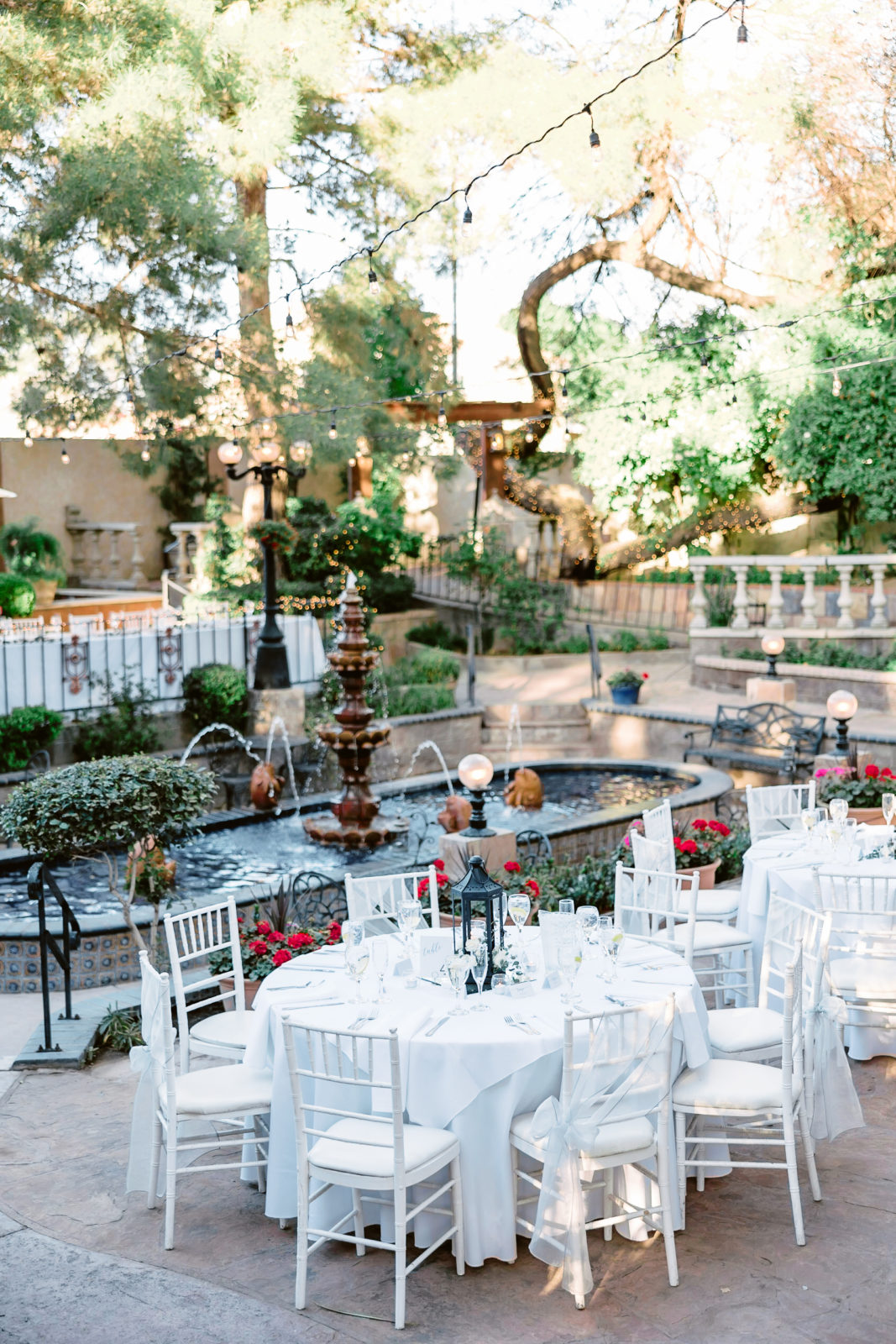 21 Arizona Wedding Venues We love | Photo + Films | Stephen & Melissa